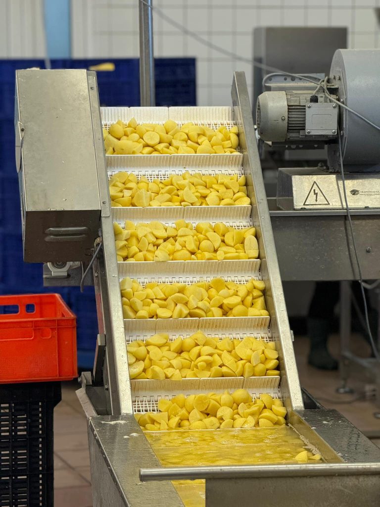 Ifresh Gottlob S.R.L. – Procesare și conservare fructe și legume în ...